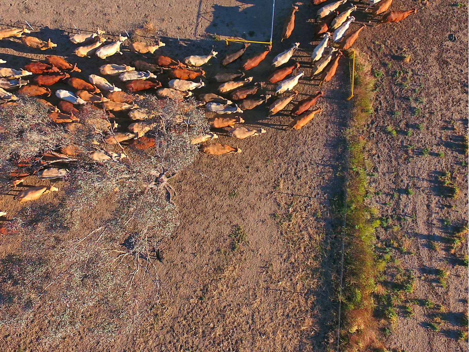 Certified Agriculture Dealerships, The Farm & Ranch Truck Dealers